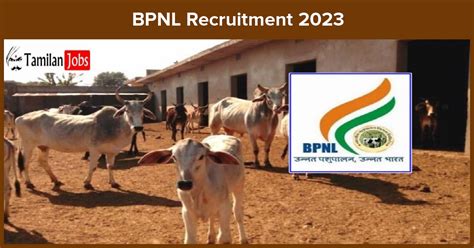 BPNL Recruitment 2023 Out Trainer Jobs 2826 Vacancies Apply Now