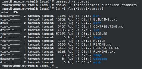 How To Check The Tomcat Version Sadconsequence Giggmohrbrothers