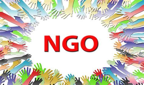 NGO NON GOVERNMENTAL ORGANISATION Market Concepts Blog