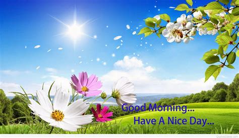 Good Morning Beautiful Wallpapers Top Free Good Morning Beautiful Backgrounds Wallpaperaccess
