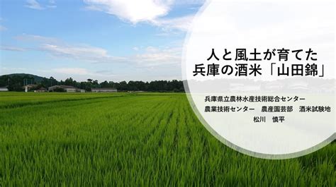人と風土が育てた兵庫の酒米「山田錦」 有限会社エクセイト研究所