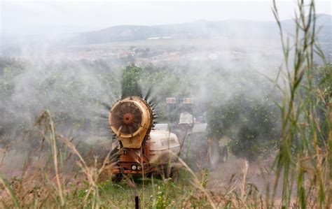 Some Environmental Pollutants Increase Risk Of COVID