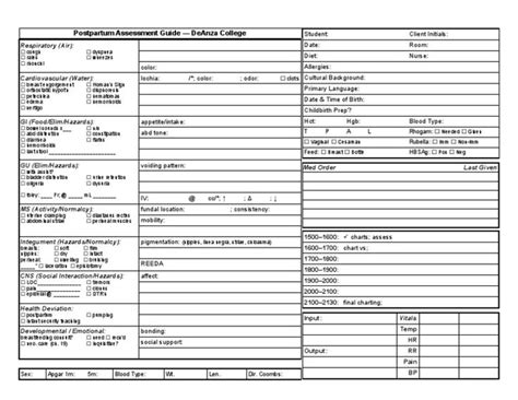 Worksheet Used During My Perinatal Nursing Clinicals To Manage The Care