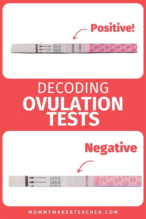 Ovulation Test Results Faint Line At William Jaramillo Blog