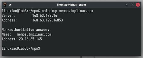 How To Set Up Reverse Proxy With Nginx Proxy Manager Npm