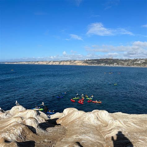La Jolla Legendary Tours Lohnt Es Sich Aktuell Für 2025 Mit Fotos