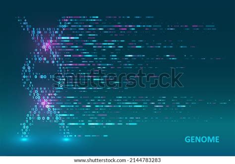 1480 Dna Binary Code Stock Vectors Images And Vector Art Shutterstock