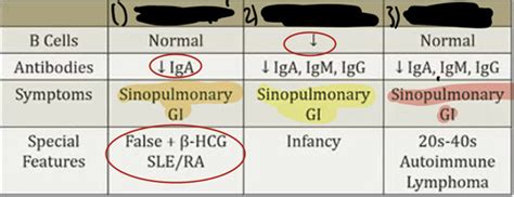 Immunodeficiency Flashcards Quizlet