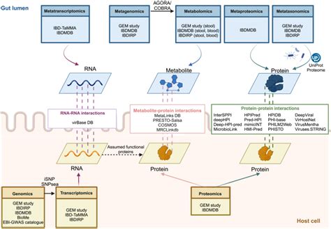 Integrating Multi Omics To Unravel Host Microbiome Interactions In Inflammatory Bowel Disease Pmc