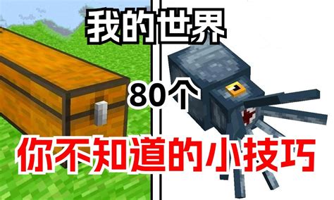 我的世界80个你不知道的小技巧 阿奇MC 阿奇MC 哔哩哔哩视频