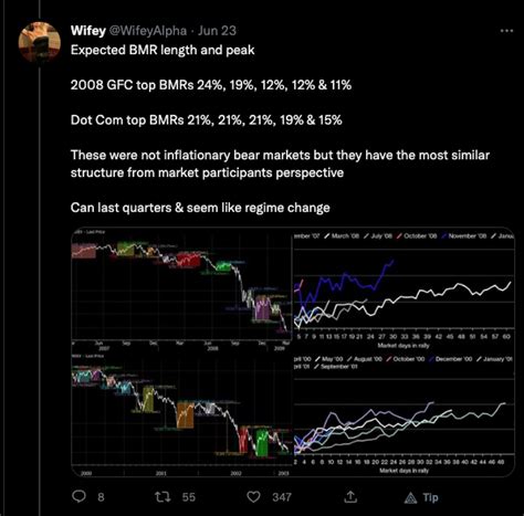 Profit Hunting Lessons Learned Trading Bear Markets