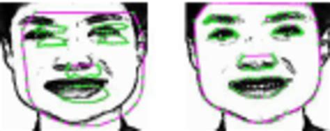 Sketch Based Asm Tracking Download Scientific Diagram