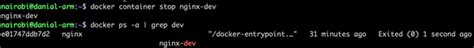 Docker Container Lifecycle Management