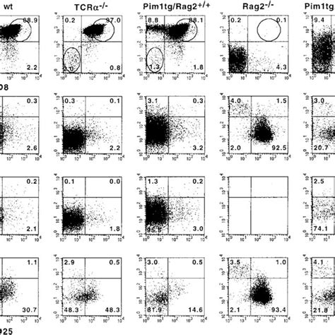 Pim1 Induces Selection In Rag Deficient Mice Four Color Facs™ Analysis Download Scientific