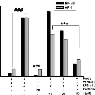 Effect of on NF κB and AP DNA binding activity An electrophoretic Download Scientific