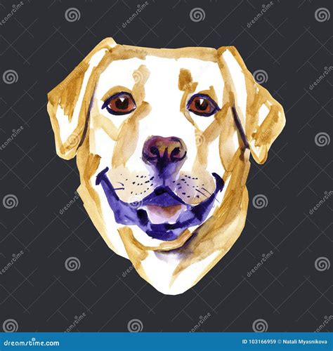 Illustration Daquarelle De Race Labrador Retriever De Chien Jaune