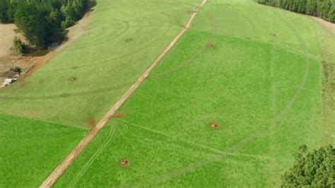 Rotational Grazing What Is Meant By Rotational Grazing