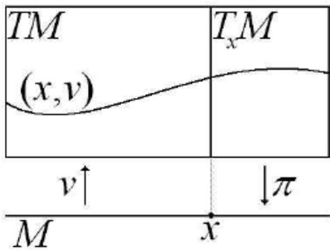 A Sketch Of A Tangent Bundle T M Of A Smooth Manifold M Download Scientific Diagram