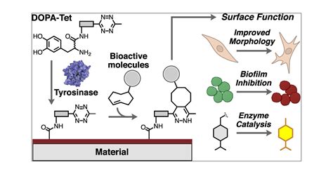 Bioorthogonal Functionalization Of Material Surfaces With Bioactive