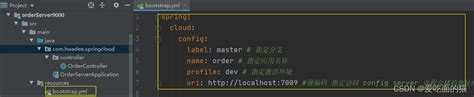 第十二章 Spring Cloud Config 统一配置中心详解spring Cloud Starter Config Csdn博客