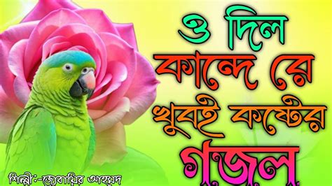গজলটি একবার শুনুন চখে পানি চলে আসবে ও দিল কান্দে রে New Bangla