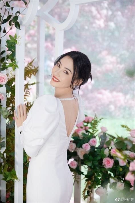 張栢芝腹部凸起做直播 驚現孕味瘋傳懷第四胎｜即時新聞｜繽fun星網｜oncc東網