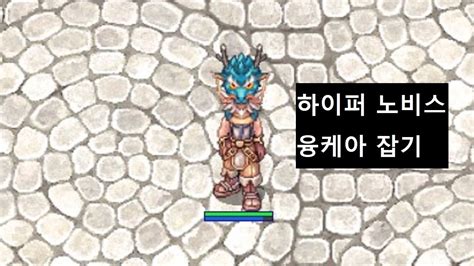 라그나로크 하이퍼 노비스로 융케아 잡기 Youtube