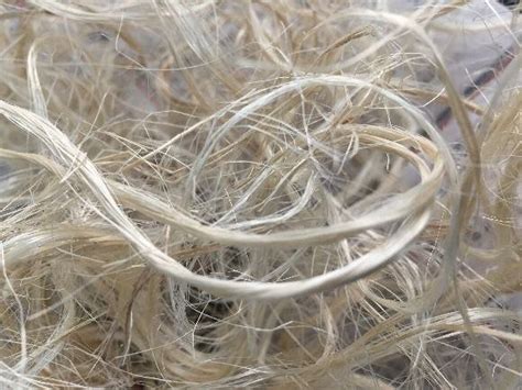 1 Extracted Banana Fiber During The Experiment 2 2 3 Biological Retting