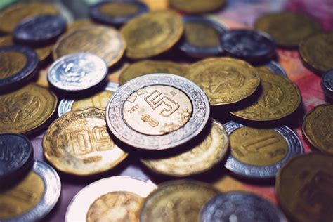 Los Precios De Garantía El Derecho A La Alimentación Y La Seguridad