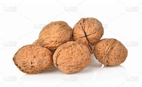 孤立在白色背景上的核桃