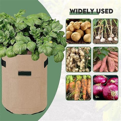 Potato Grow Bags 3 Pack 10 Gallon Plant Growing Bags With Handles