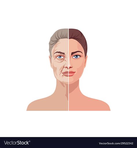 Female Facial Aging Isolated On White Background Vector Image