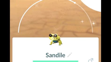 Full Evolved Shiny Sandile Pokemongo Youtube