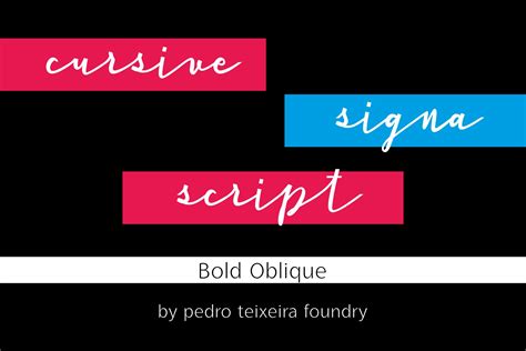 Cursive Signa Script Bold Oblique Script Fonts ~ Creative Market