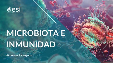Microbiota E Inmunidad Tienda Escuela Salud Integrativa