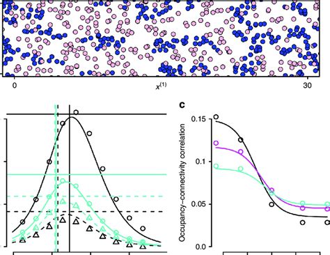 Occupancy Connectivity Correlation In The Dynamic Landscape