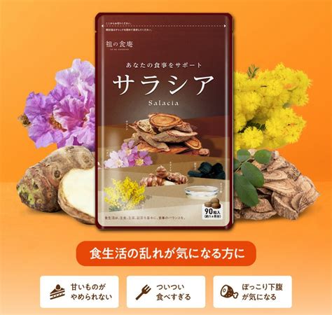 Yahooオークション サラシア 90粒 約1ヶ月分 食べ過ぎてしまう方へ