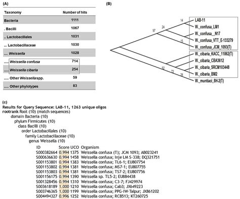Taxonomic Assignment Of The Weissella Confusa Isolate A Number Of