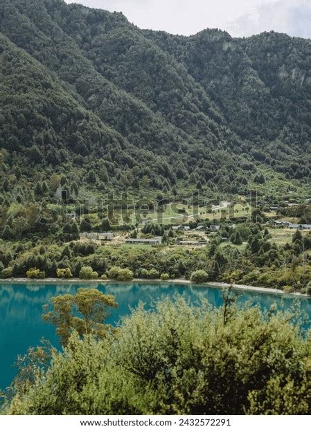 Tree Ariel View Royalty Free Images Stock Photos Pictures Shutterstock