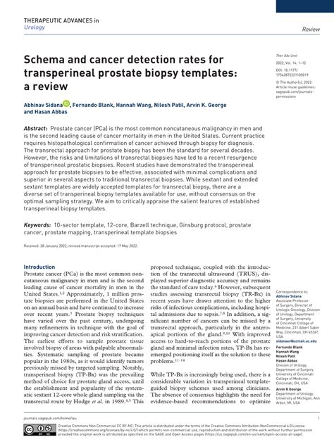 Pdf Schema And Cancer Detection Rates For Transperineal Prostate