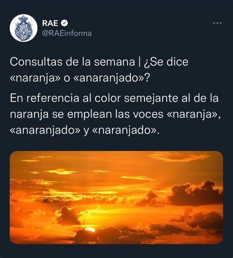 ¿se Dice Naranja O Anaranjado Conoce Cuál Es La Palabra Correcta Según La Rae Infobae