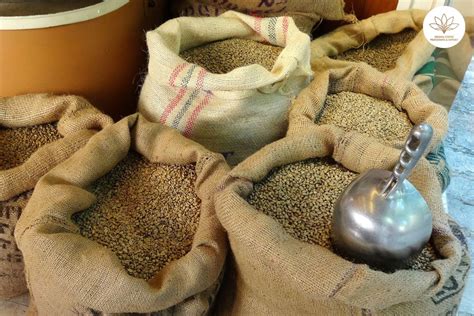 Tips Choose The Best Wholesale Coffee Beans Helena Coffee Vietnam
