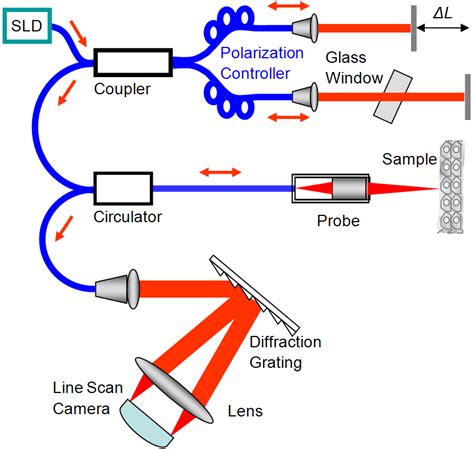 Schematic Of The Common Path Endoscopic Fourier Domain Oct Download