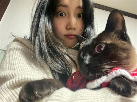 [다이아]코지 인스타 주은 걸그룹 갤러리 에펨코리아