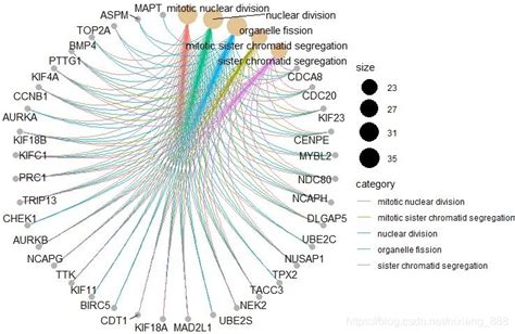 Ggplot2坐标轴或legend的label长度时间序列坐标长度legend Csdn博客 Ggplot2坐标轴或legend的label长度时间序列坐标长度legend Csdn博客