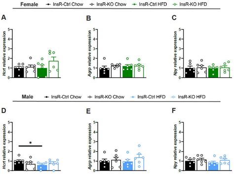 Ijms Free Full Text Loss Of Microglial Insulin Receptor Leads To