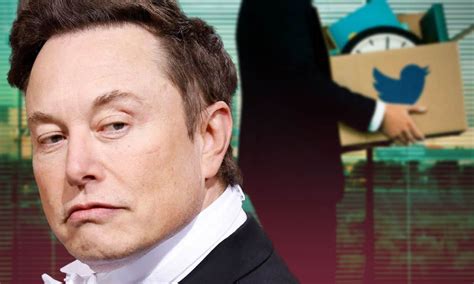 Twitter De Elon Musk Ante Una Nueva Era De Cripto Y Blockchain