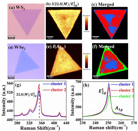 The K Means Clustering Raman Analysis Of Monolayer Ws2 And Wse2 On