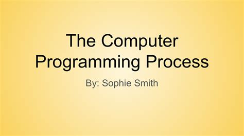 The Computer Programming Process By Sophie Flipsnack