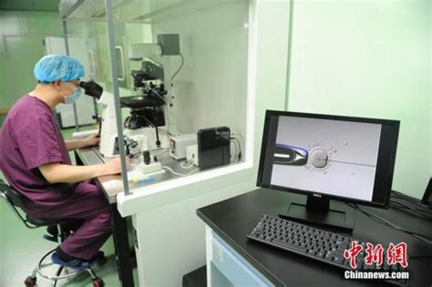 国家卫健委回应“基因编辑婴儿”事件：依法依规处理 凤凰网